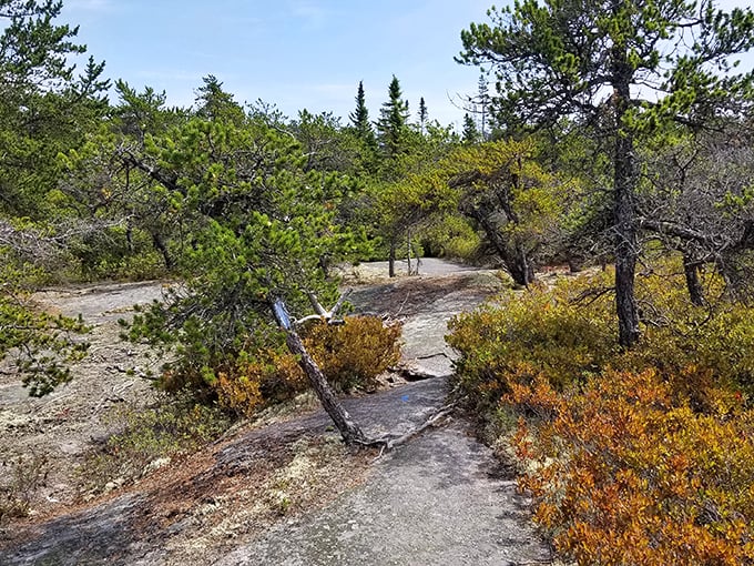 Great Wass Island's hidden cove: Nature's secret hideaway. It's the introvert of beaches, perfect for when you need a break from small talk.