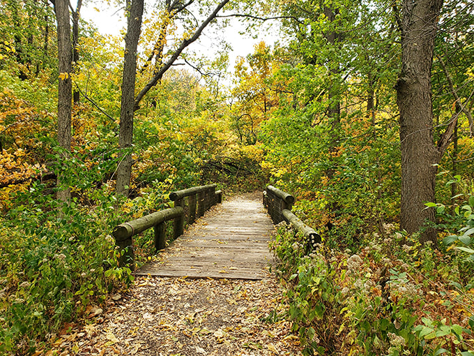 "Rustic charm meets presidential history. This wooden bridge feels like a time machine to Lincoln's Illinois &ndash; minus the muddy roads."