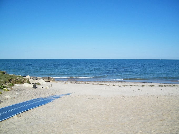 Canine Cove! It's like Disneyland for dogs, minus the long lines and overpriced treats. Time to let the fur fly and the tails wag!