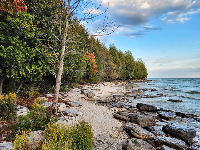 Fall's fashion show is in full swing! Mother Nature's autumn palette puts New York Fashion Week to shame. No catwalk needed.