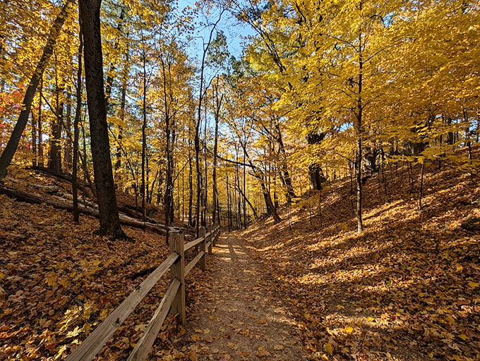 Nature's own infinity pool. No chlorine, no screaming kids, just pure, unadulterated Wisconsin beauty. Dive in! (Metaphorically, please.)