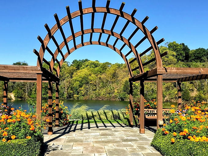 Succulent chic! This creative display proves that even the tiniest plants can make a big splash in the garden world.