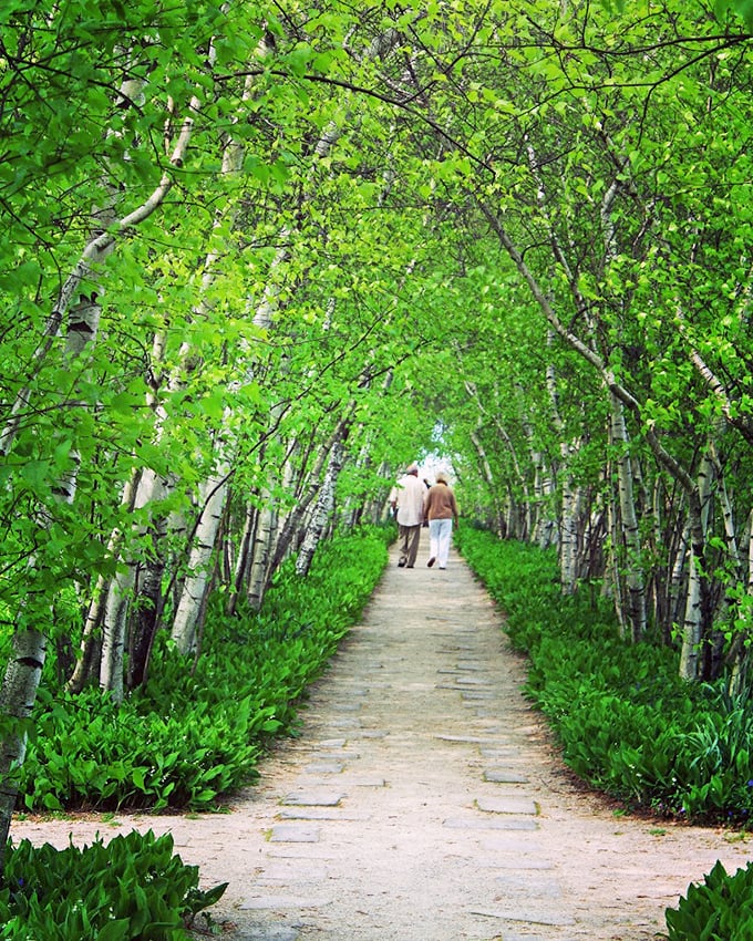 Tudor time machine with a green thumb. From English charm to Japanese zen, it's a horticultural world tour in your backyard. 