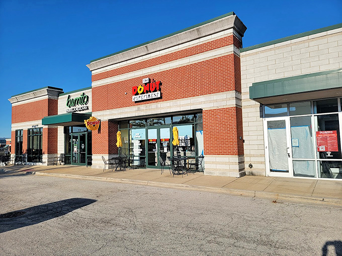Unleash your inner donut designer! At The Donut Experiment, your wildest sugar-coated dreams come true.