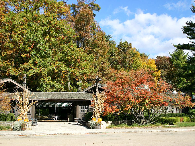 Rustic charm meets theatrical flair! White Pines serves up a slice of entertainment with a side of pine-scented nostalgia.