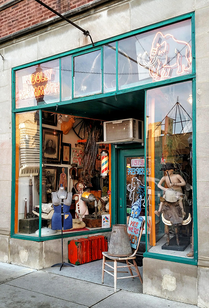 Where taxidermy meets whimsy! This menagerie of oddities proves that one person's "weird" is another's "must-have" conversation piece.