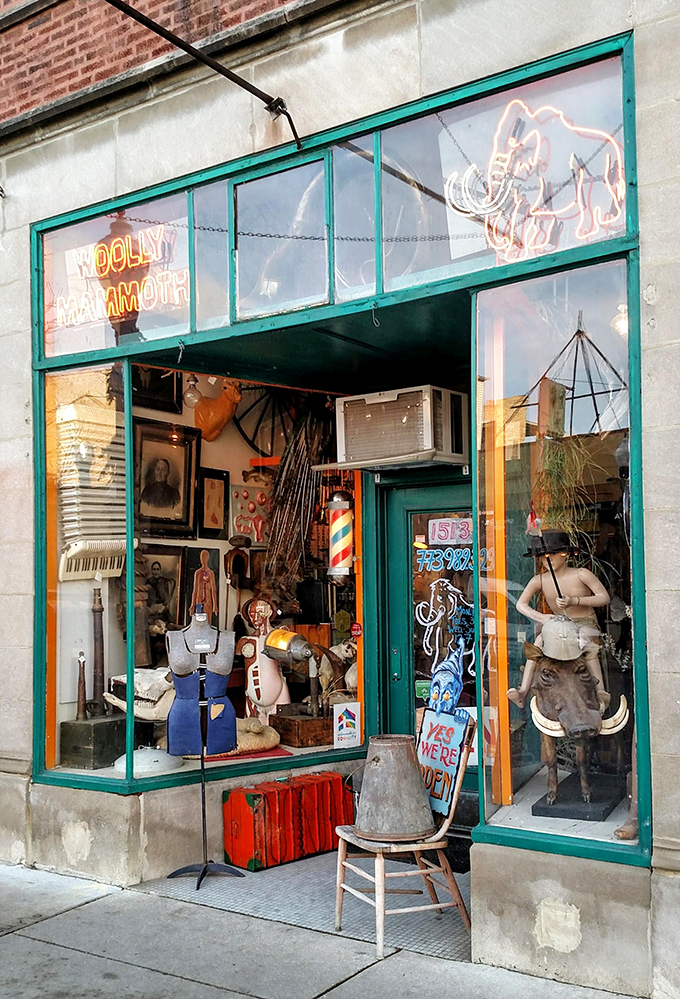 Where taxidermy meets whimsy! This menagerie of oddities proves that one person's "weird" is another's "must-have" conversation piece.