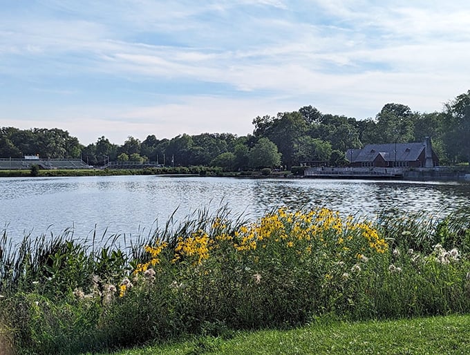 Mother Nature's masterpiece on full display. Lake Ellyn's serene waters reflect the sky, creating a real-life Monet that changes with each passing cloud.