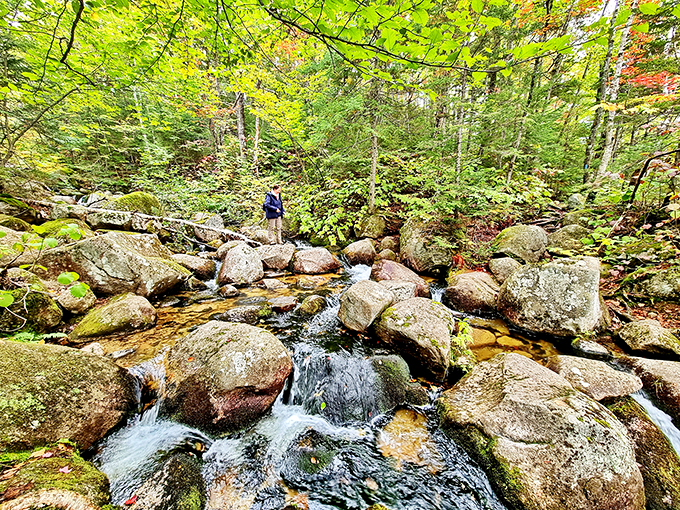 Nature's obstacle course: Where every boulder is a stepping stone to adventure. Indiana Jones, eat your heart out!