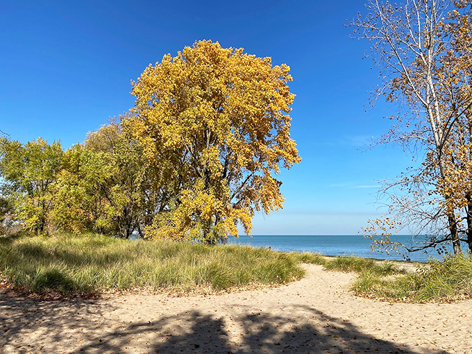 Nature's fall fashion show: Gillson Park's autumn colors are more stunning than any New York runway &ndash; and a lot less pretentious.