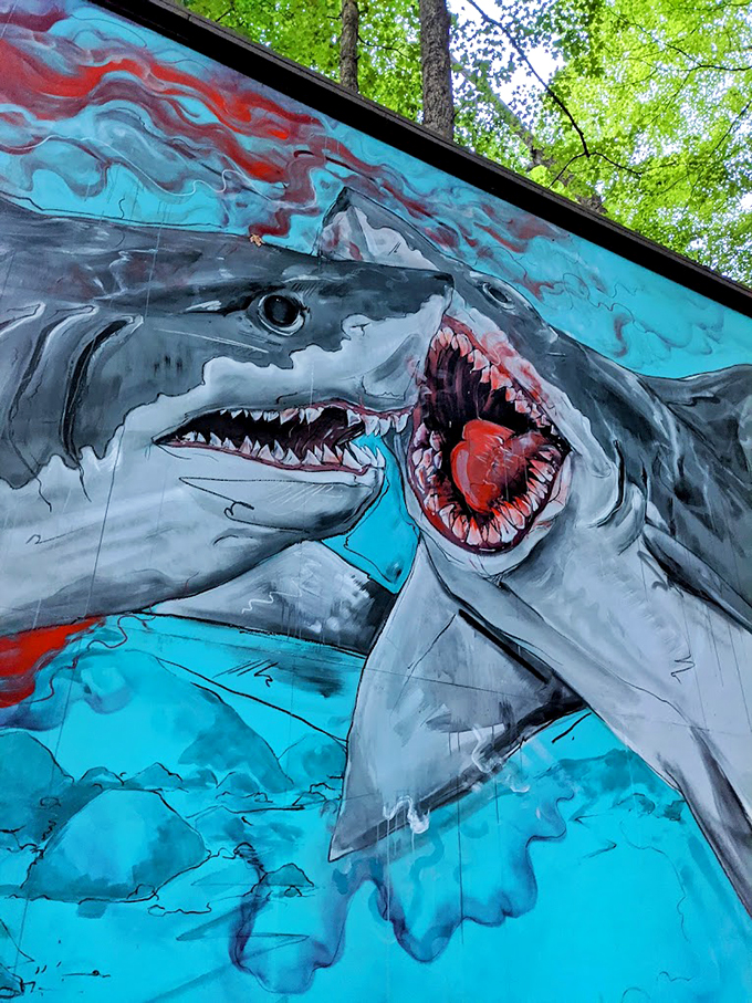
Jaws drops jaws! This vivid shark mural brings a splash of ocean drama to the Ohio woods. Who knew sharks could thrive in forests?