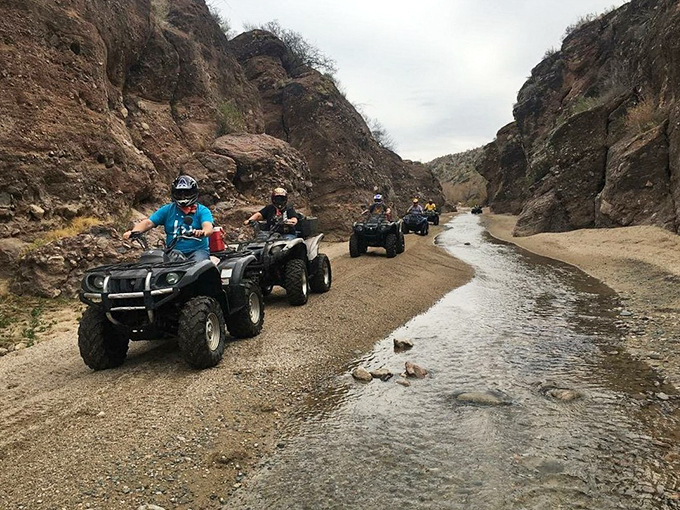 Buckle up, buttercup! These ATVs are your ticket to experiencing the desert up close and personal. Just remember, cacti don't make great cushions!