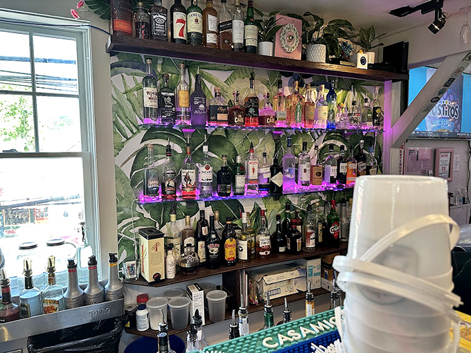 A tropical wallpapered oasis of spirits, where palm leaves meet premium pours under perfectly pink lighting. 