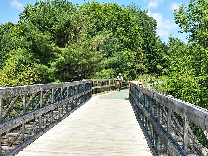 The Belfast Rail Trail invites cyclists and wanderers to explore where trains once rolled, now offering peaceful bay views instead. Photo credit: Jennifer Saylor