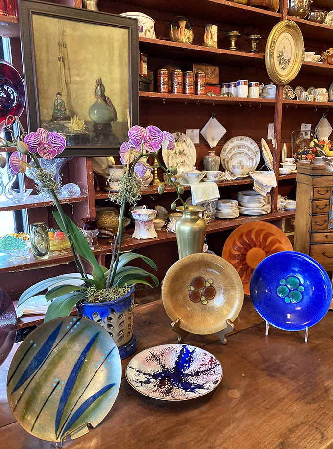 A kaleidoscope of copper delights! These plates are serving up a feast for the eyes - no silverware required.