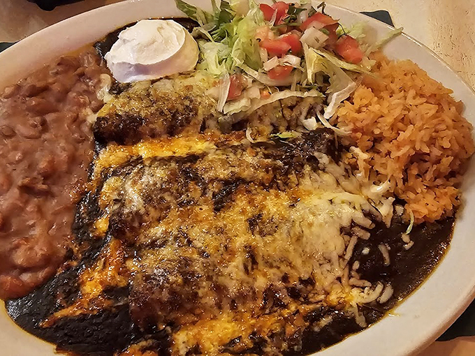 Enchilada Dark mole sauce blankets these enchiladas like a warm Mexican hug, while melted cheese adds that perfect finishing touch.