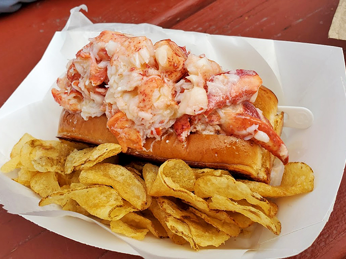 Fresh lobster meat nestled in a toasted roll, accompanied by chips that add the perfect crispy counterpoint to each bite. Photo credit: Ben