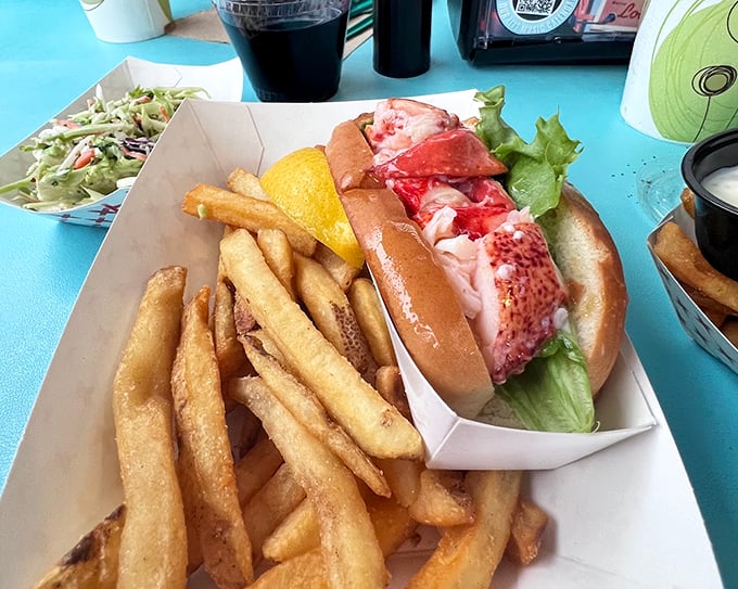 A lineup of lobster rolls that would make a food photographer weep - each one packed with more meat than a seafood lover's dream.