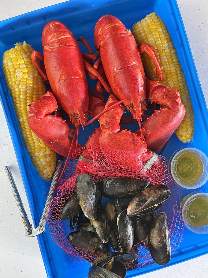 A blue tray of oceanic treasures: bright red lobsters, sweet corn, and midnight-black mussels ready for their butter bath.
