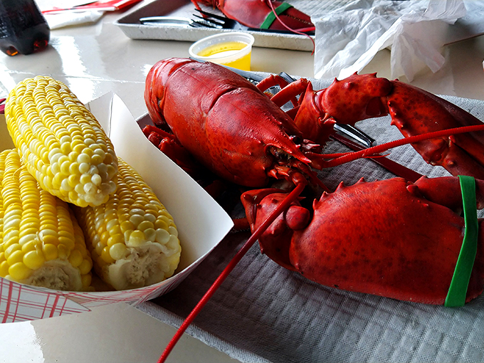 The dynamic duo of summer: lobster and corn. It's like Neptune and Mother Nature high-fived on your plate.