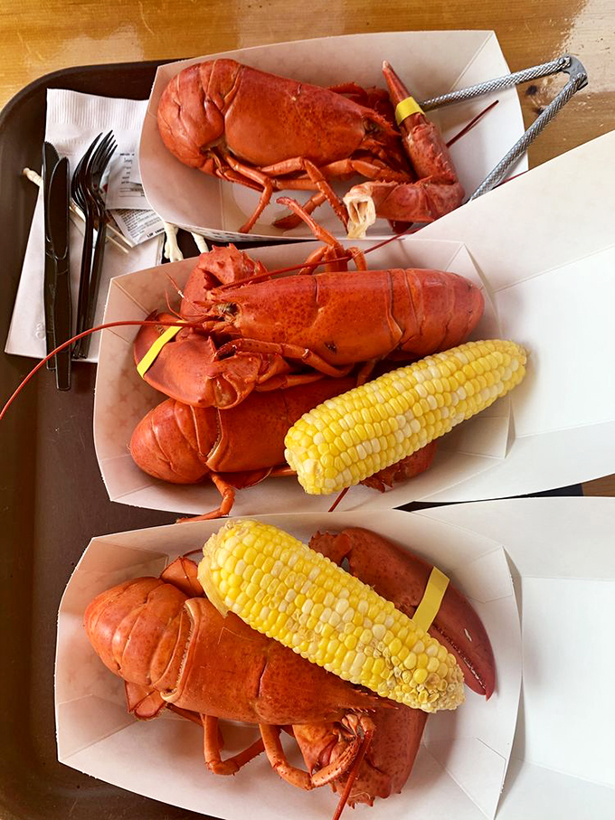 Ladies and gentlemen, meet the stars of the show! These lobsters are redder than a tourist after a day at the beach. Butter at the ready!
