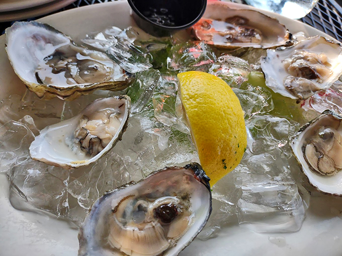 Fresh local oysters on ice, glistening like pearls with a bright lemon crown &ndash; nature's perfect appetizer.