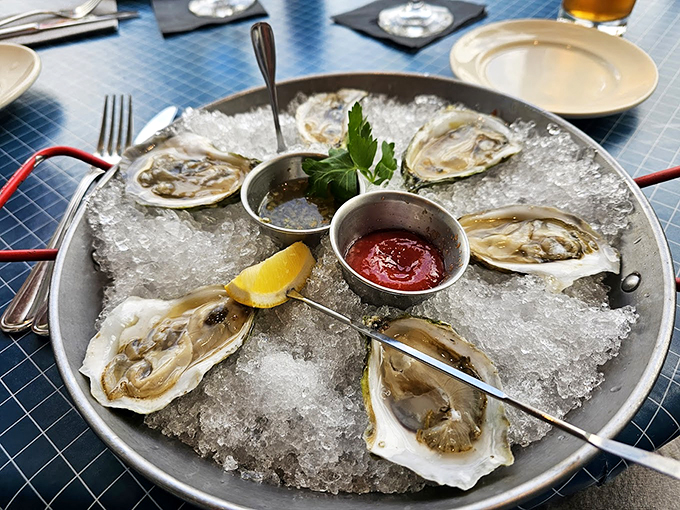 These Maine oysters on ice are like pearls in a treasure chest, waiting to share their briny secrets. Photo credit: Jesse Gosman