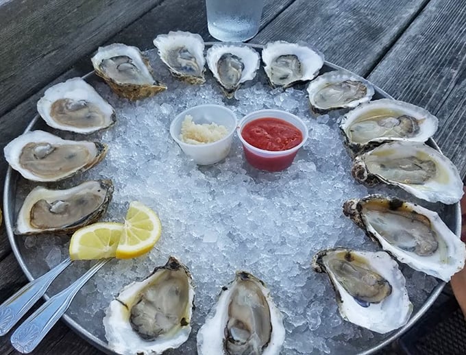 A dozen reasons to smile, arranged in a circle of icy perfection. That local beer's not looking too shabby either.