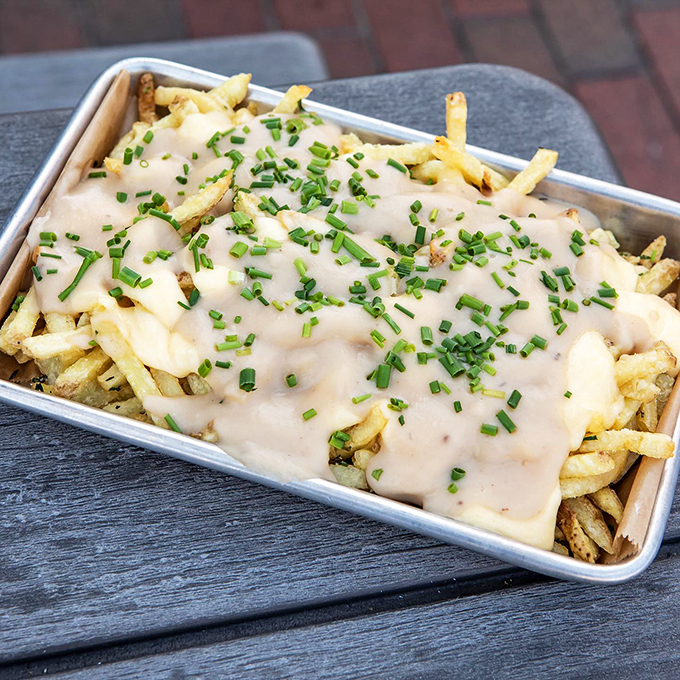 Behold, the poutine that launched a thousand food comas. These fries are drowning in gravy and cheese curds, and honestly, what a way to go.
