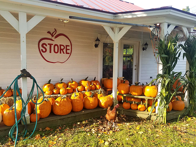 Orange you glad it's fall? This porch is like a pumpkin patch explosion, ready to fulfill all your autumnal fantasies.