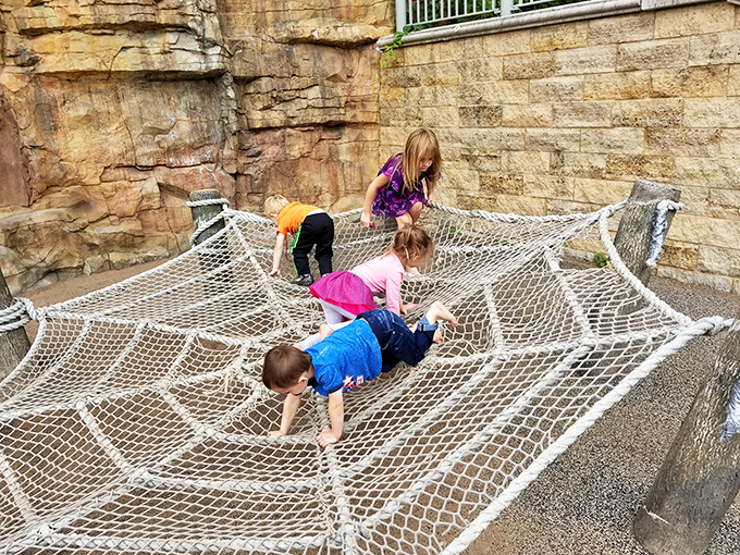 Spider-Man, eat your heart out! This web of wonder lets kids channel their inner superhero, minus the radioactive spider bite. Climb at your own risk of giggles!