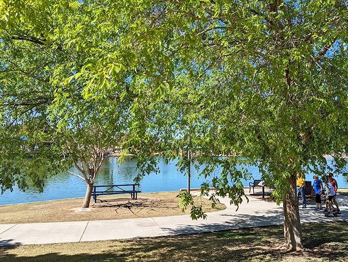 Nature's air conditioning at its finest. These leafy giants provide more shade than a gossipy book club, and they're much quieter too. Photo credit: DeEdra Manning