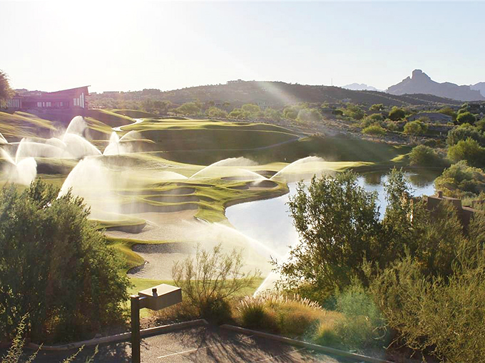 A refreshing splash of blue amid the desert palette, where water meets wilderness in spectacular fashion.