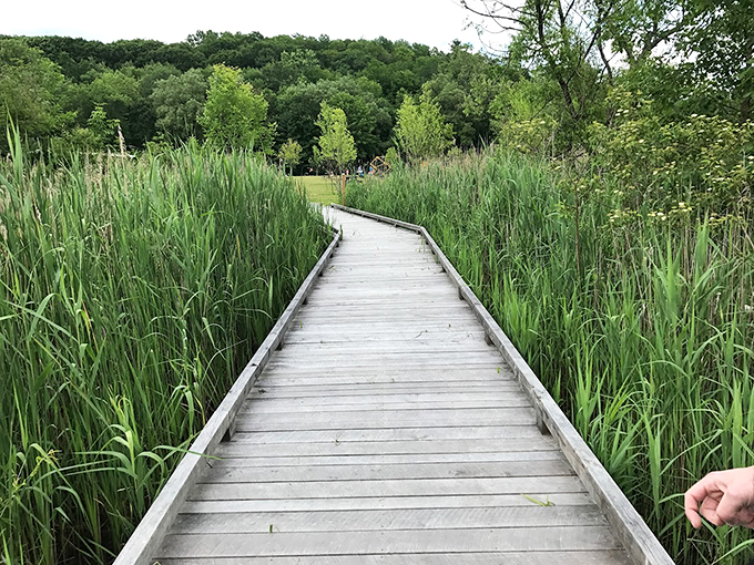 Marsh stroll: A boardwalk through nature's spa. Breathe in that fresh air &ndash; it's like aromatherapy, but with a side of bird calls.