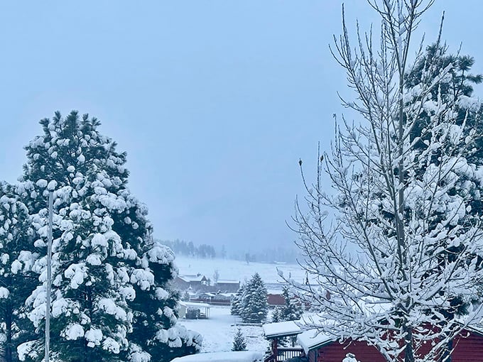 Winter wonderland: Alpine transforms into a snow globe come to life, where every pine branch wears a coat of glistening white.