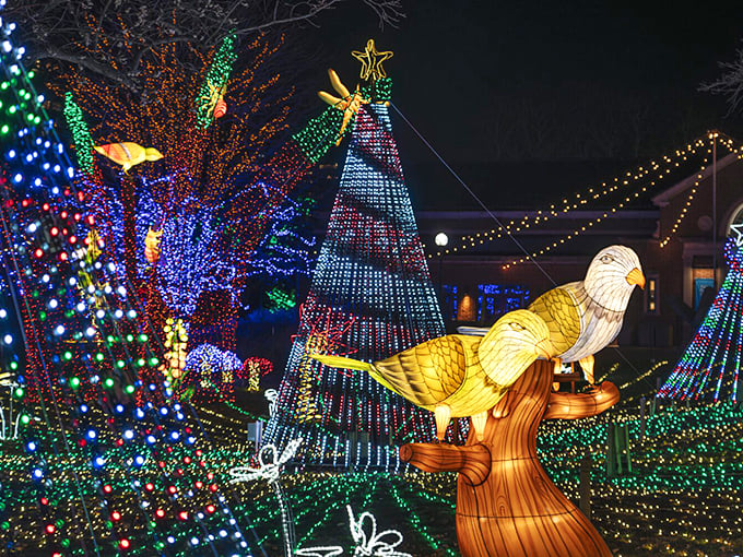 Birds of a feather light up together! These illuminated avians would make even the Angry Birds jealous of their dazzling plumage.