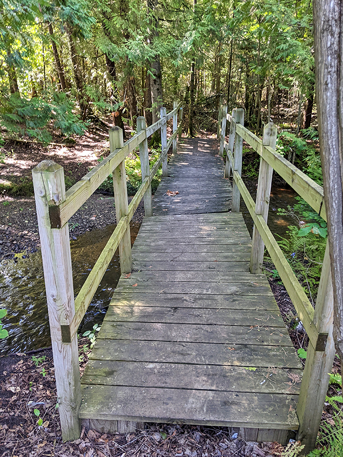 Bridge over tranquil waters: this wooden walkway isn't just a path, it's a portal to your own personal Narnia of nature.