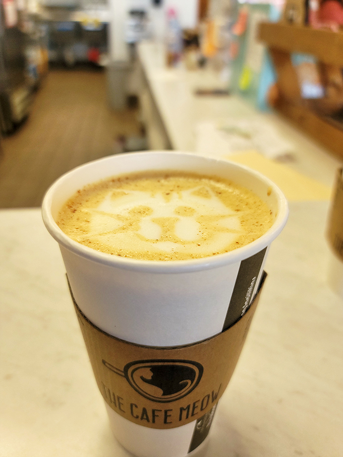 Latte art reaches new heights with this paw-some creation. It's almost too cute to drink... almost. Sorry, kitty, but caffeine calls!