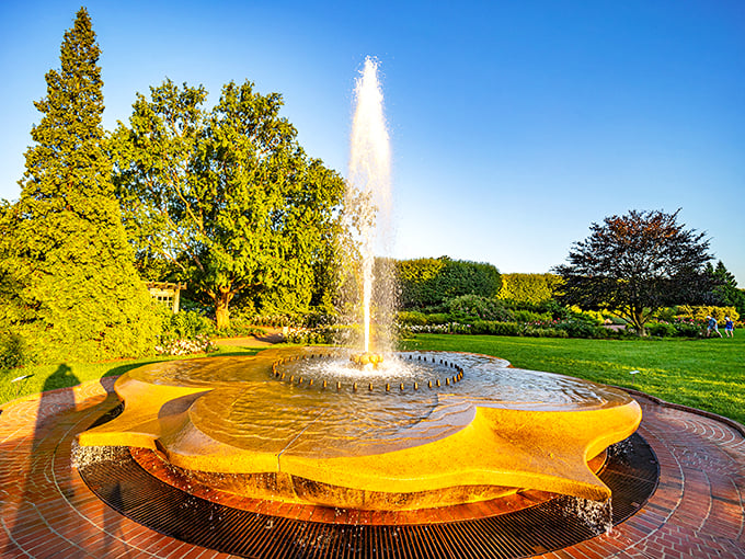 Forget about wishing wells – this fountain's got star power! It's like nature's version of the Bellagio, minus the neon and slot machines.