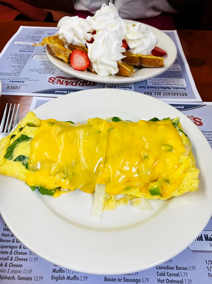 Behold, the omelet that puts Humpty Dumpty to shame. This cheesy masterpiece is what breakfast dreams are made of.