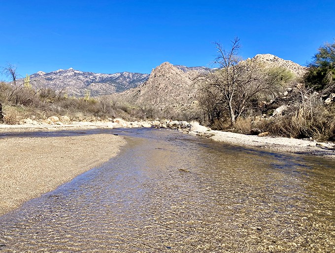 Desert rivers: proof that nature has a sense of humor. 'You thought it was all cacti and tumbleweeds? Think again, folks!