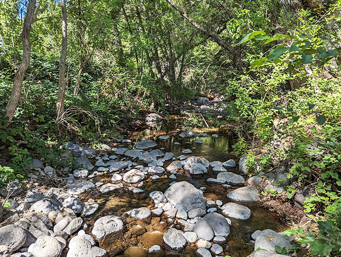 Mother Nature's own sculpture garden, where wind and water have carved these magnificent red rock formations over millennia.