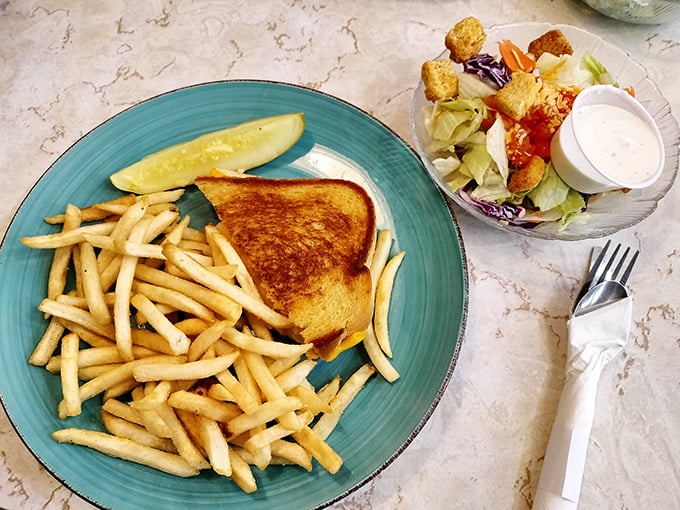 Grilled cheese perfection meets fry nirvana! This plate is the comfort food equivalent of a warm hug from your favorite aunt.