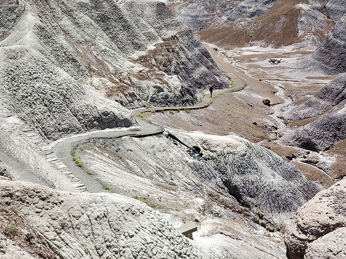 Talk about a bird's eye view! This winding trail looks like nature's own roller coaster through a pastel dreamscape.