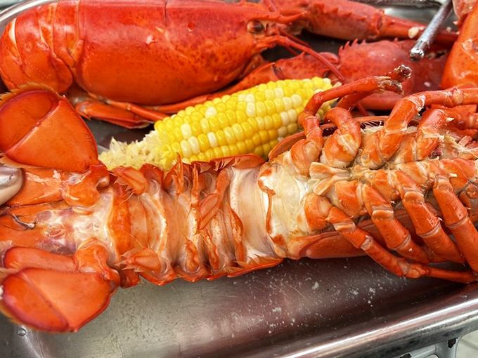 Behold, the kings of the sea! These lobsters look ready for their close-up &ndash; or perhaps their butter bath. Either way, they're the stars of this show.