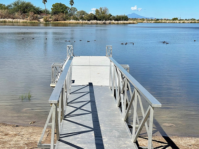 Roper Lake's wooden pier stretches toward tranquility, while ducks create their own morning commute patterns.