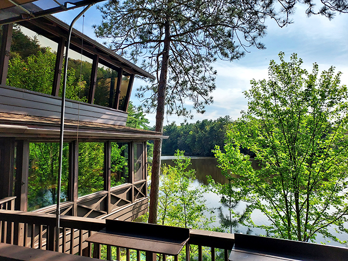 Room with a view? More like dining room with a "wow!" Ishnala's panoramic windows frame nature's own dinner theater.