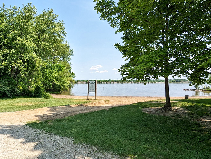 Nature's waterpark! Where the beach meets the forest, creating a playground that's part sand castle, part treehouse. Adventure awaits!