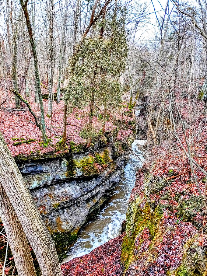 The Little Miami River's rock-carving masterpiece. Nature's own Grand Canyon, Ohio style!