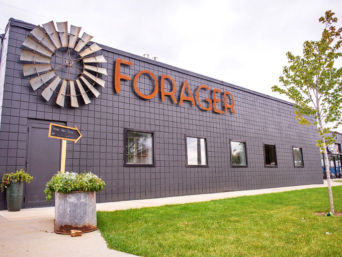 Where farm-fresh meets fermentation. This sleek spot promises flavors so bold, your palate might need a nap afterward.